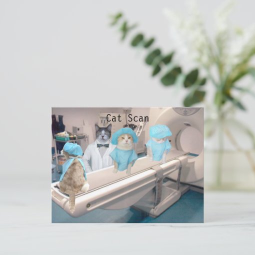 Funny Cat Scan Image Postcard | Zazzle