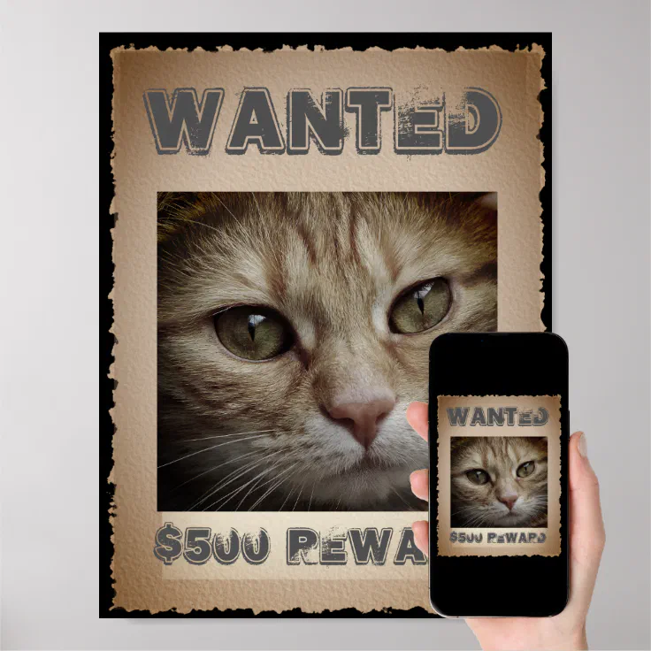 Funny Cat Wanted Poster | Zazzle