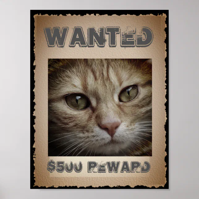 Funny Cat Wanted Poster | Zazzle