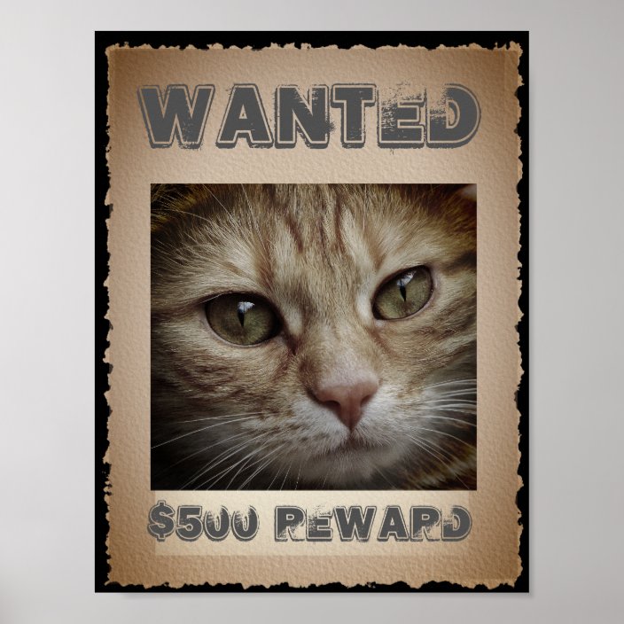 Funny Cat Wanted Poster | Zazzle.com
