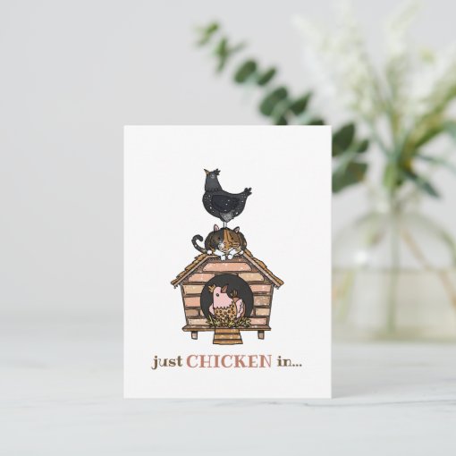 Funny Cats and Chickens Just Checking In Postcard | Zazzle