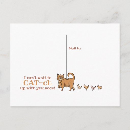 Funny Cats and Chickens Just Checking In Postcard | Zazzle
