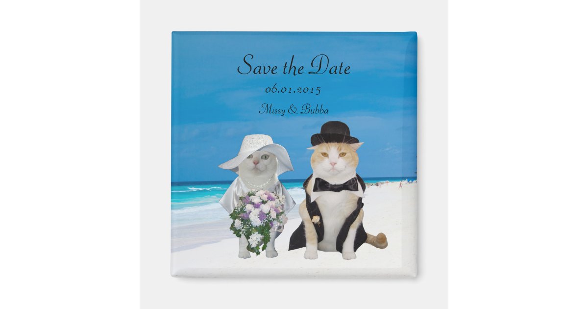 Funny Cats Beach Wedding Save the Date Magnet | Zazzle