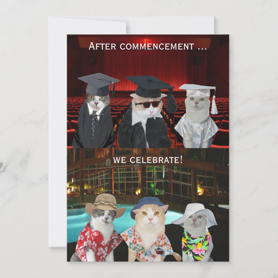 Funny Cats Customizable Graduation Party Invite | Zazzle