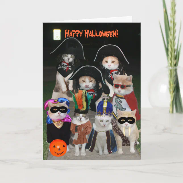Funny Cats Prowling on Halloween Card | Zazzle