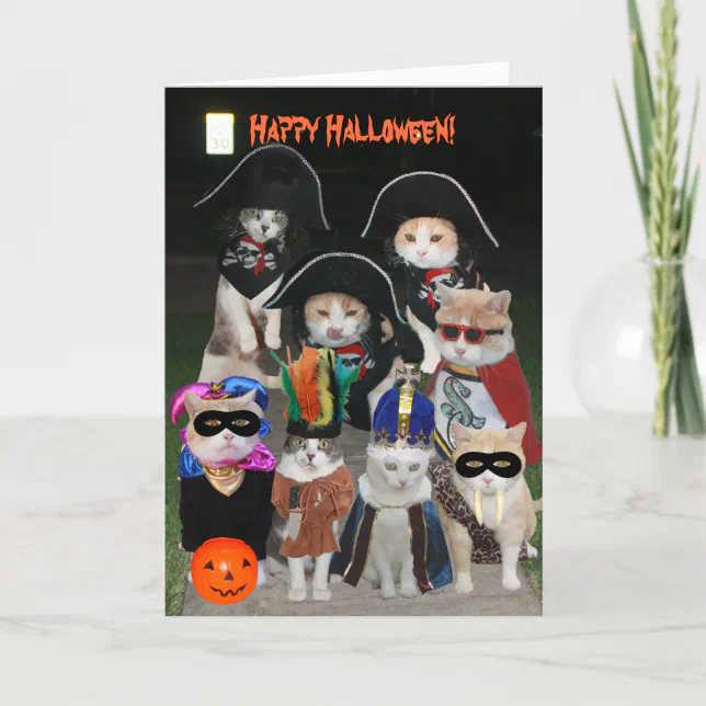 Funny Cats Prowling on Halloween Card | Zazzle