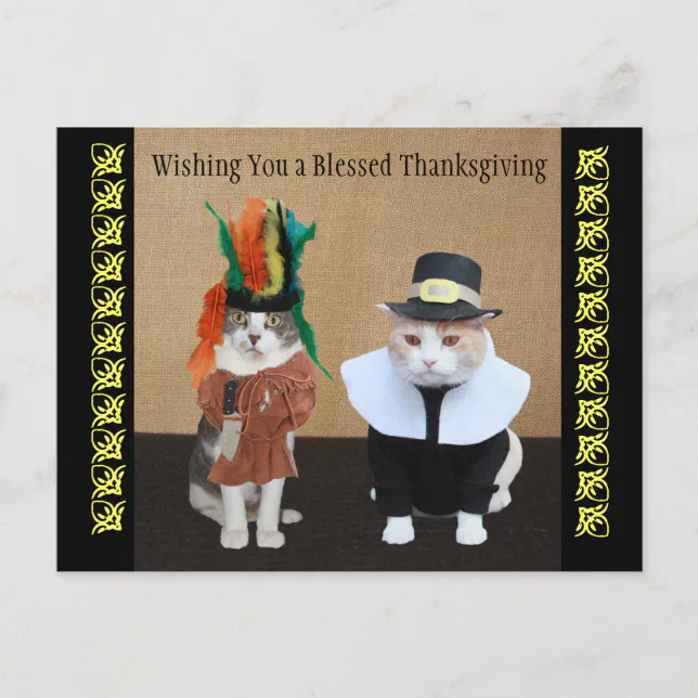 Funny Cats Thanksgiving Holiday Postcard | Zazzle
