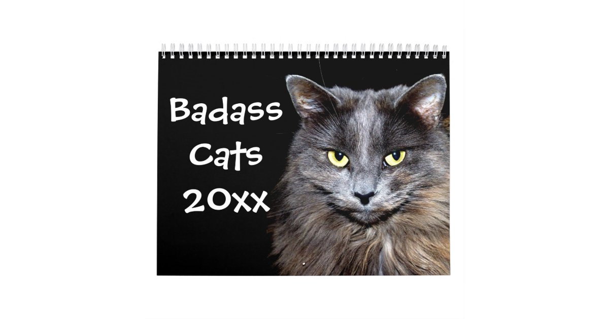 Funny Cats with Catitude Calendar | Zazzle