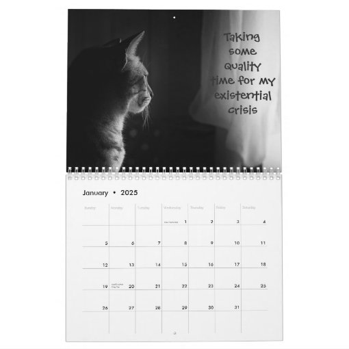 Funny Cats with Catitude Calendar | Zazzle