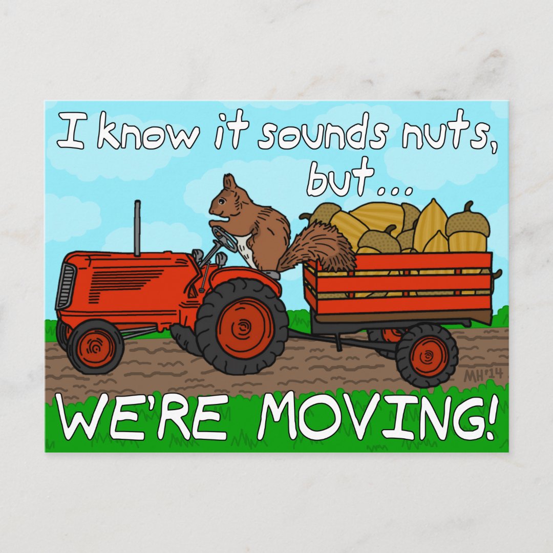 Funny Change of Address Squirrel We've Moved Announcement Postcard | Zazzle