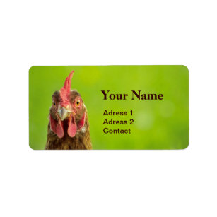 Funny Return Address Labels | Zazzle