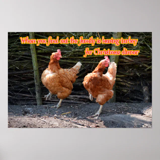 Funny Chicken and Rooster Memes with Funny Images Poster | Zazzle