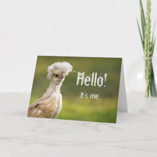 Funny Chicken Card | Zazzle