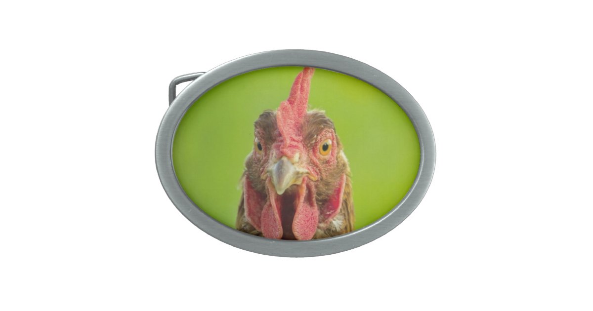 Funny Chicken Farm Animal Belt Buckle | Zazzle
