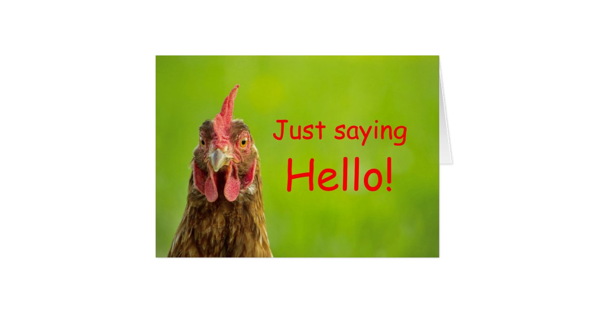 Funny Chicken - Hello Greeting Card | Zazzle.com
