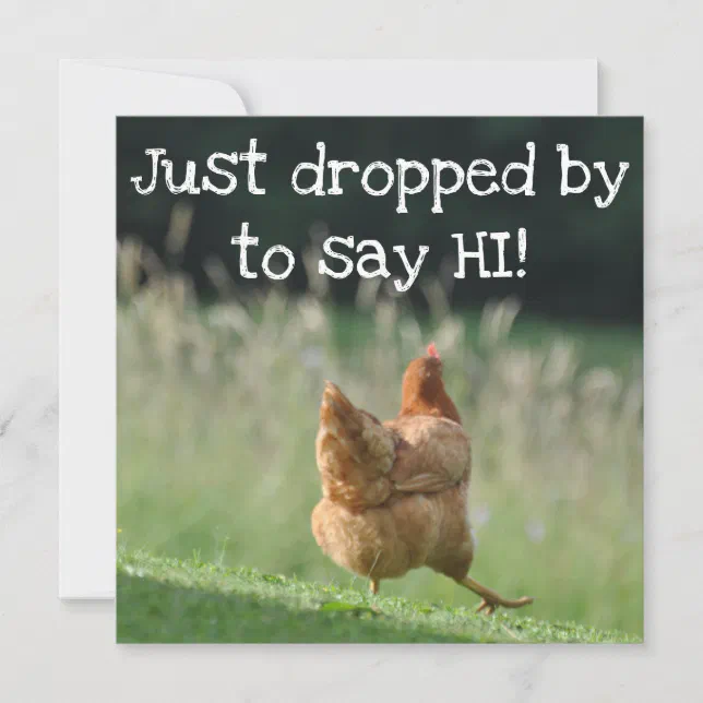 Funny Chicken Hello Quotes Say Hi Cute Farm Animal Card | Zazzle