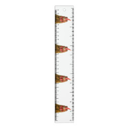 Funny Chicken Portrait on White Ruler | Zazzle