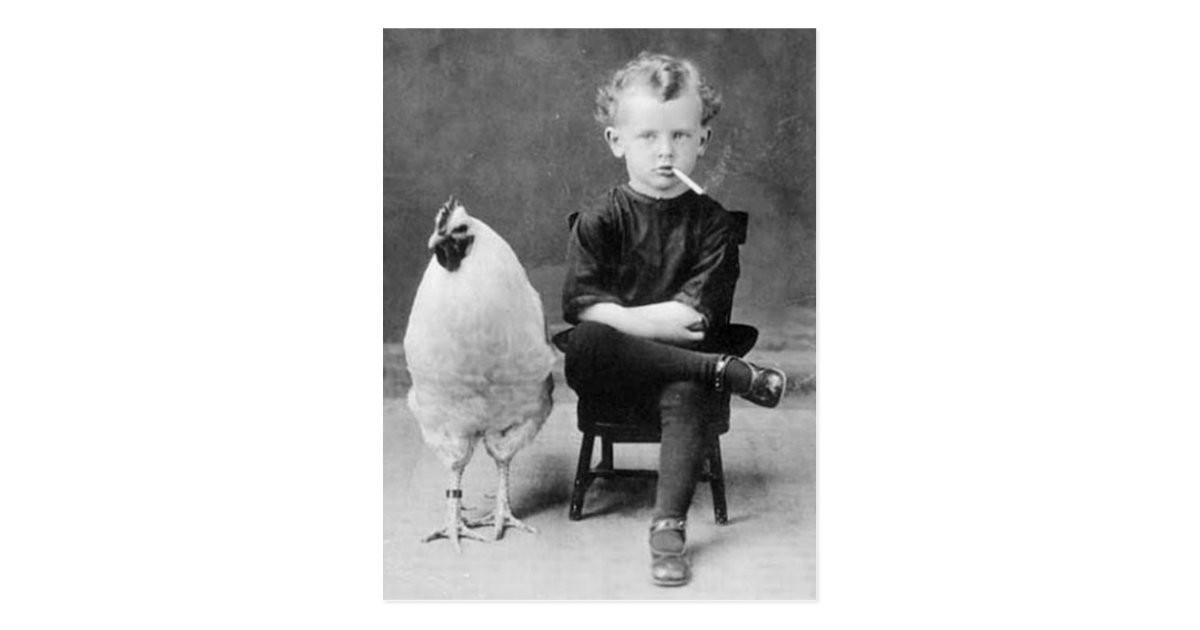 Funny Chicken With Smoking Kid Vintage Photo Postcard | Zazzle.com