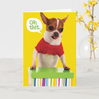 Funny Chihuahu Dog With Lisp Belated Birthday Card | Zazzle