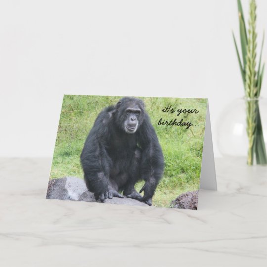 Funny Chimpanzee Birthday, wanna monkey around?! Card | Zazzle.com