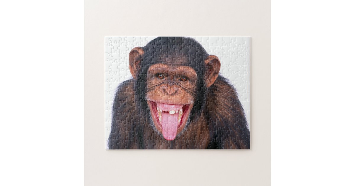Funny Chimpanzee Portrait, Jigsaw Puzzle | Zazzle