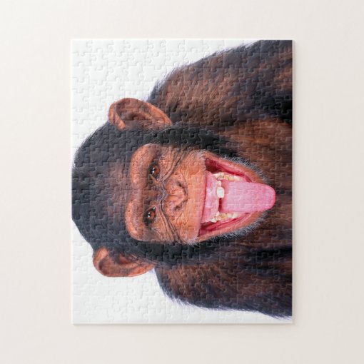 Funny Chimpanzee Portrait, Jigsaw Puzzle | Zazzle