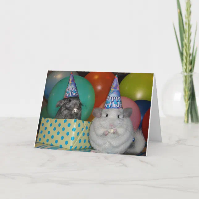 Funny Chinchilla Birthday Card | Zazzle