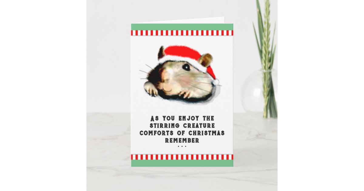 Funny Christmas Holiday Card | Zazzle