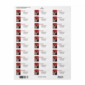 Funny Christmas Return Address Labels | Zazzle