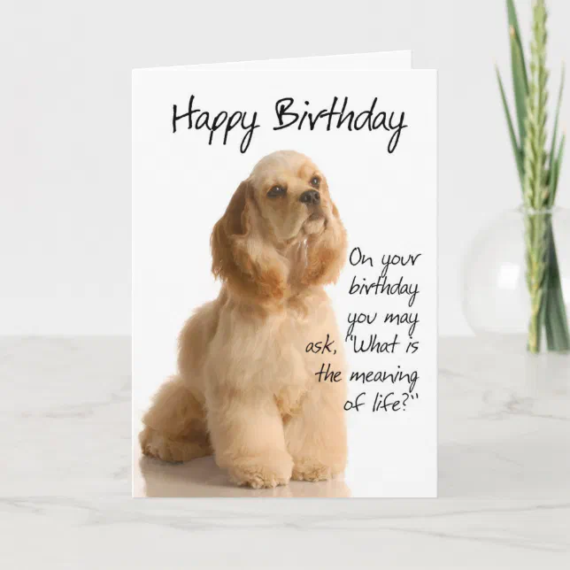 Funny Cocker Spaniel Birthday Card | Zazzle