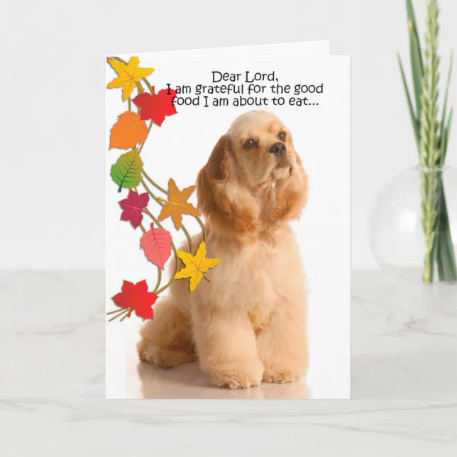 Funny Cocker Spaniel Thanksgiving Card | Zazzle