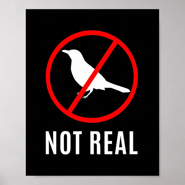 Funny Conspiracy Theory Birds Are A Lie Meme Poster | Zazzle