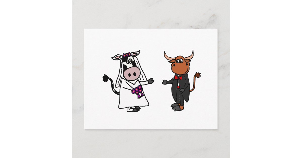 Funny Cow and Bull Wedding Postcard | Zazzle
