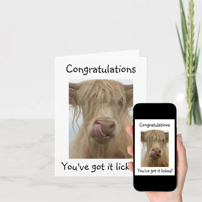 Funny Cow Congratulations Card | Zazzle