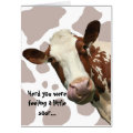 Funny Cow Get Well Giant Greeting Card | Zazzle