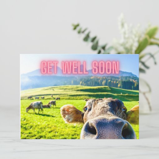 Funny Cow Get Well Soon Card | Zazzle