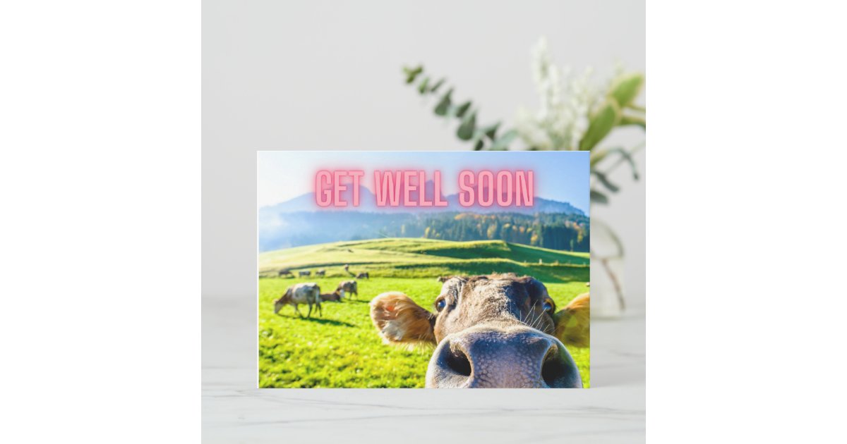 Funny Cow Get Well Soon Card | Zazzle