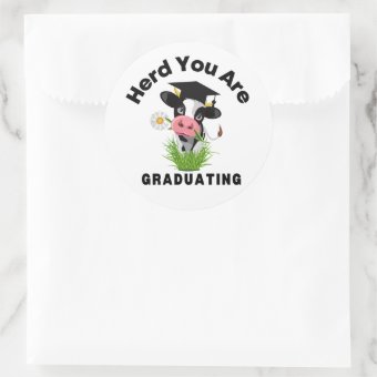 Funny Cow Graduation Sticker | Zazzle