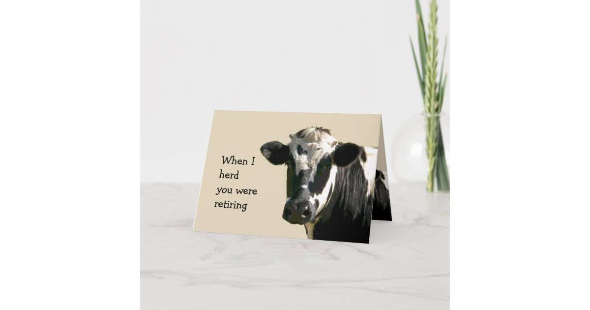 Funny Cow Humor Retirement Laughs Card | Zazzle