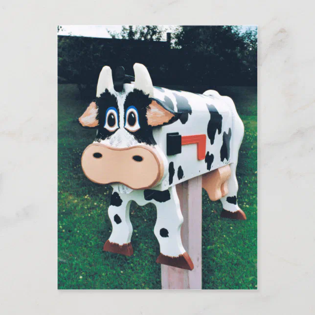 Funny cow mailbox photo postcard | Zazzle