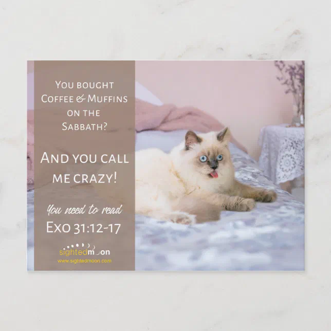 Funny Crazy Cat Humor Postcard | Zazzle