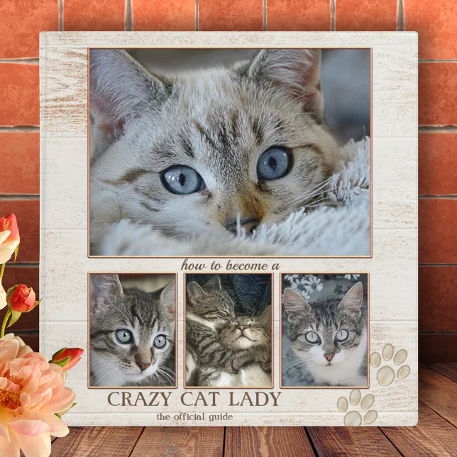 Funny Crazy Cat Lady Photo Binder | Zazzle