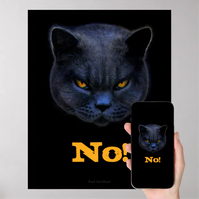 Funny Cross Cat says No Poster | Zazzle