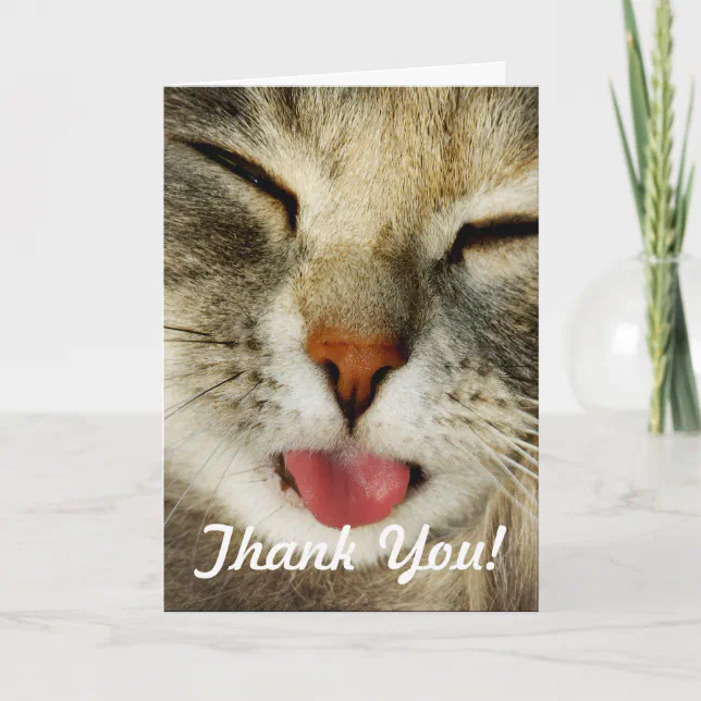 Funny Cute Cat Photo Thank You Card | Zazzle