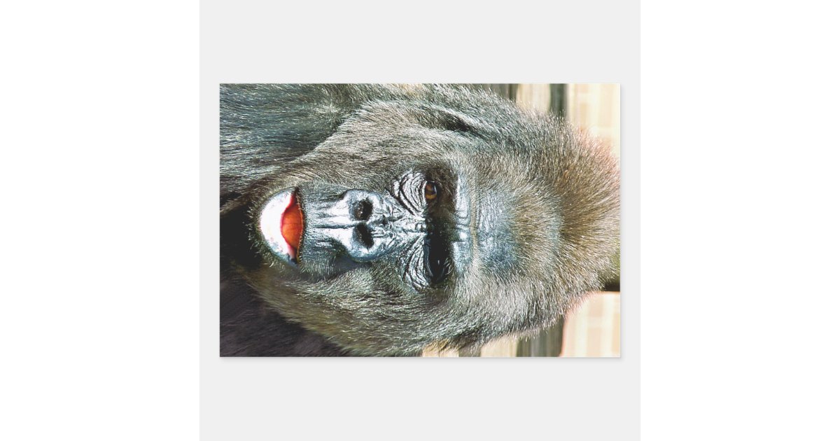 FUNNY CUTE GORILLA WRAPPING PAPER SHEETS | Zazzle