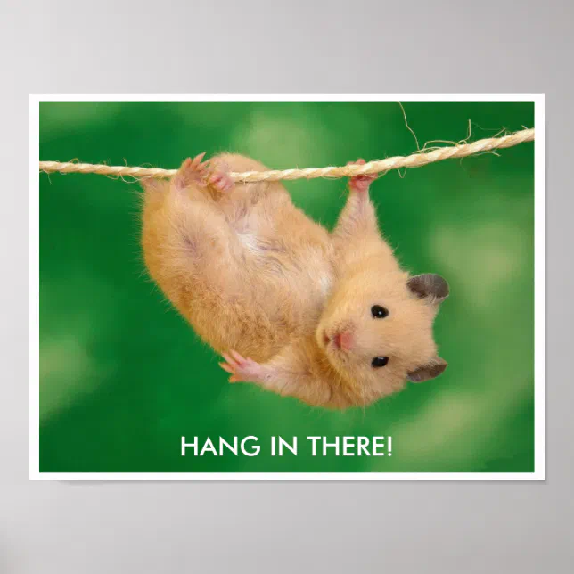 Funny & Cute Hamster Poster | Zazzle