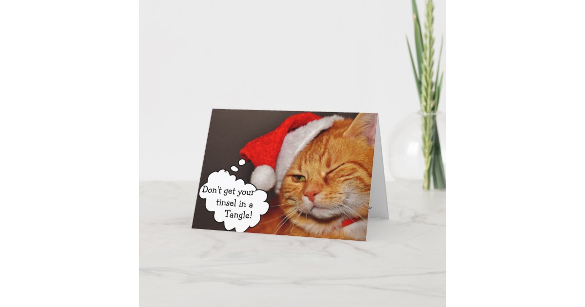 Funny Cute Merry Christmas Holiday Cat Card | Zazzle