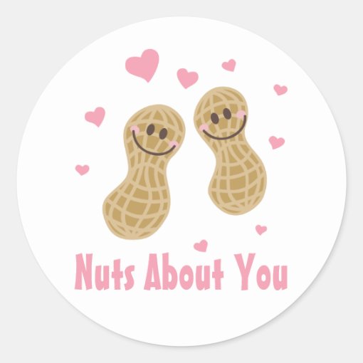 Funny Cute Nuts About You Couple Peanuts Cartoon Classic Round Sticker ...