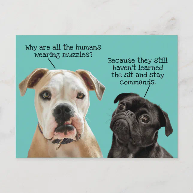 Funny Cute Sit/Stay Dogs During Pandemic No Muzzle Postcard | Zazzle