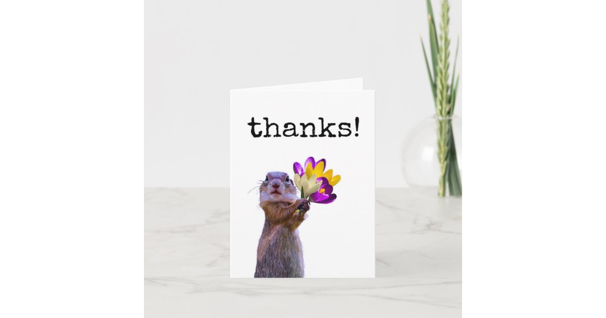 Funny, Cute, Squirrel, Thank You Card | Zazzle